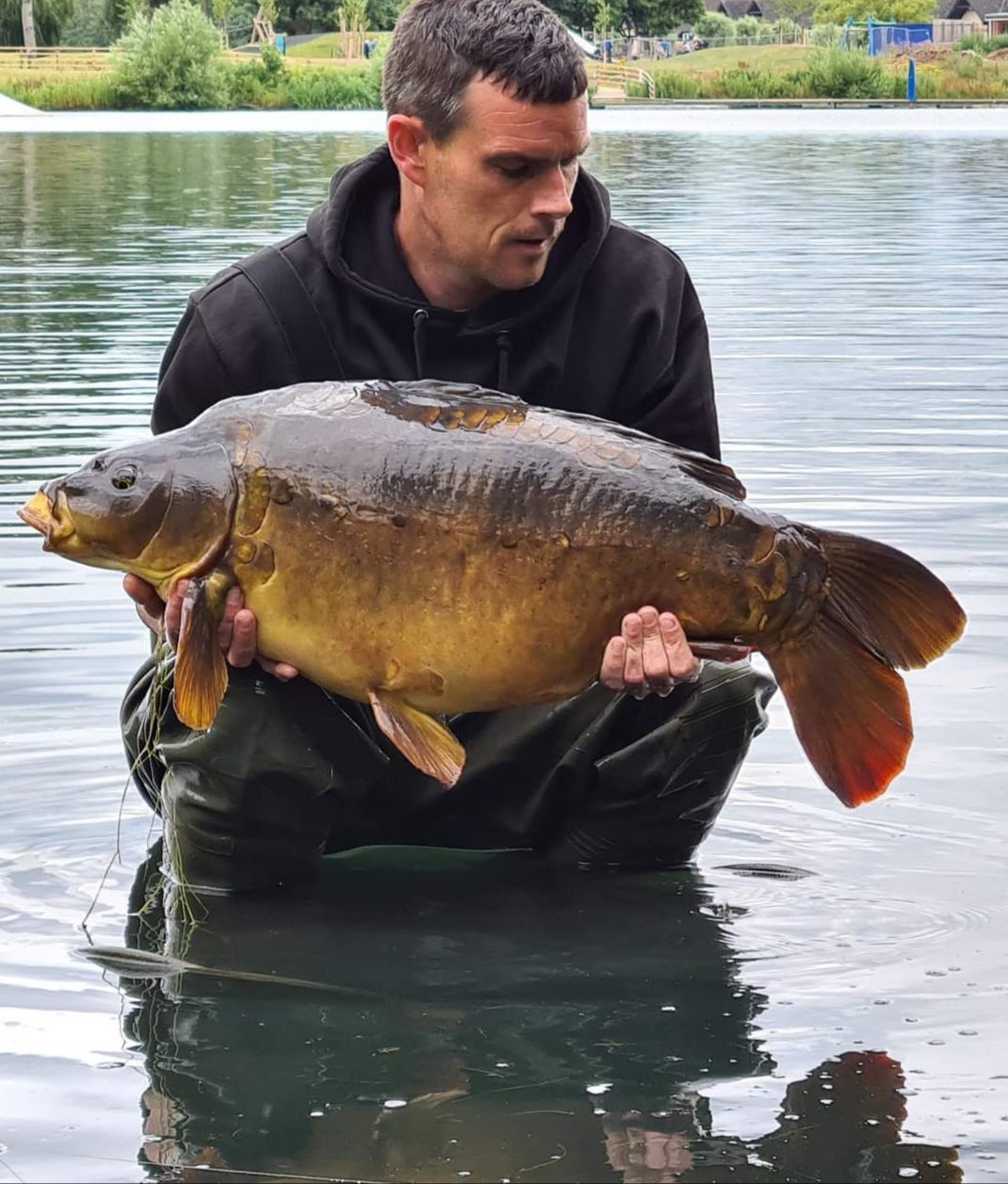 Park lake | Total Carp